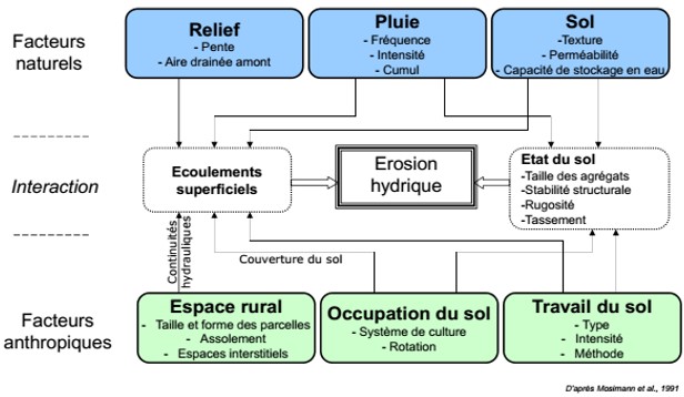 Érosion - Ruissellement - Solenvie - Des pédologues docteurs du sol